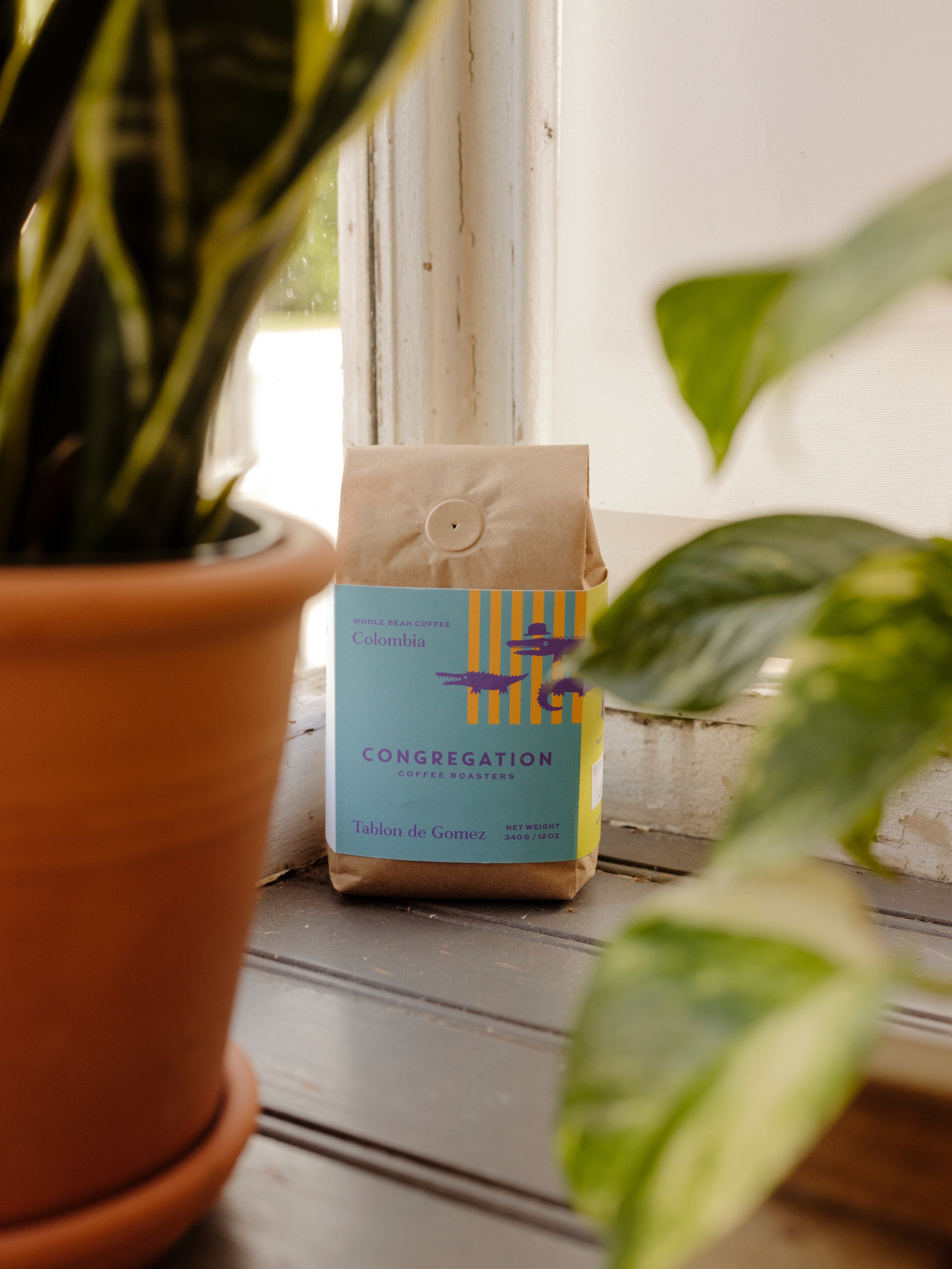 Introducing Tablón de Gomez! – Congregation Coffee