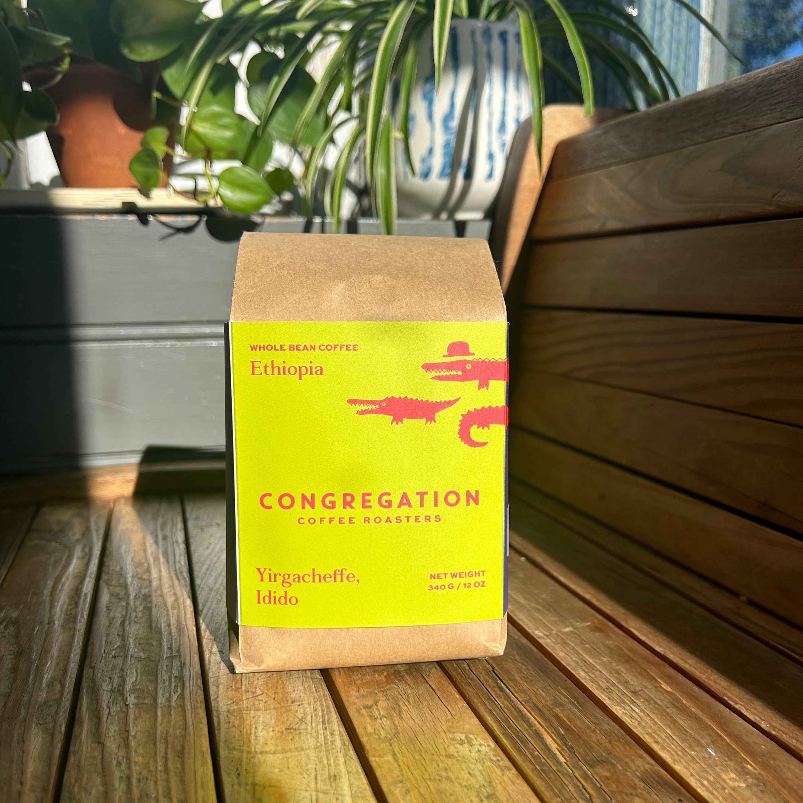 Coffee – Congregation Coffee